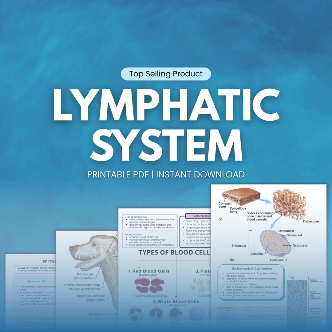Lymphatic System Notes, Veterinary Med Lessons, Study Guide Vet Tech ...