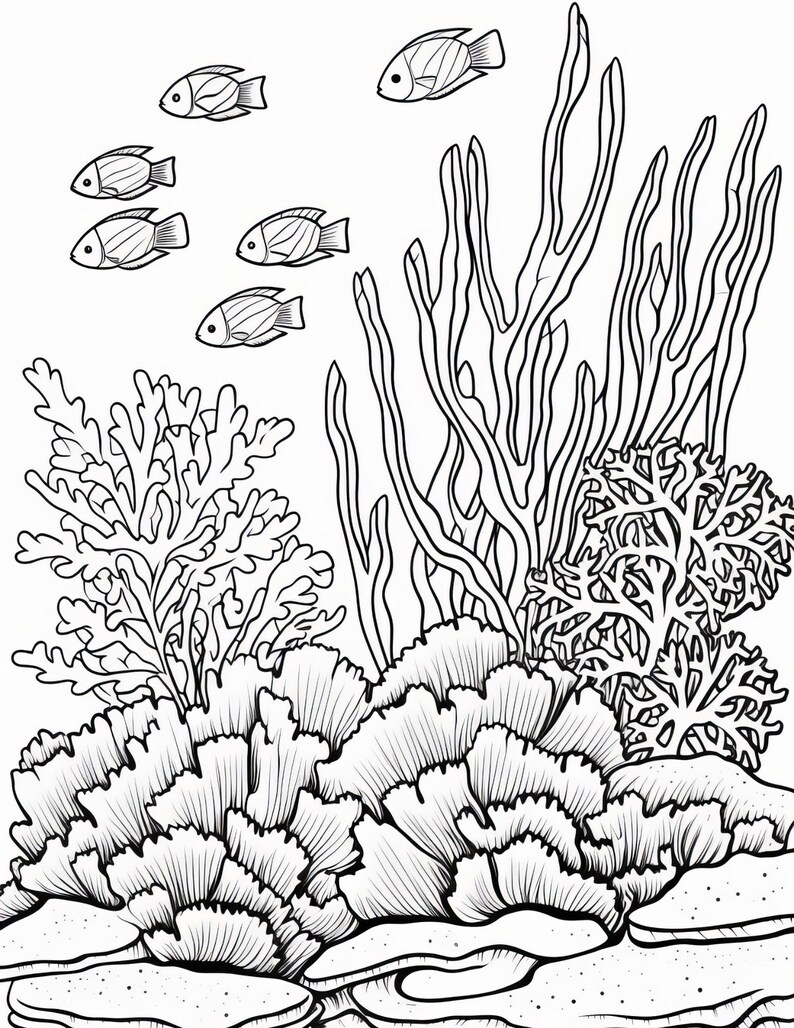 Coral Reef Coloring Book 25 Printable Pages Ocean Life Coloring Pages ...