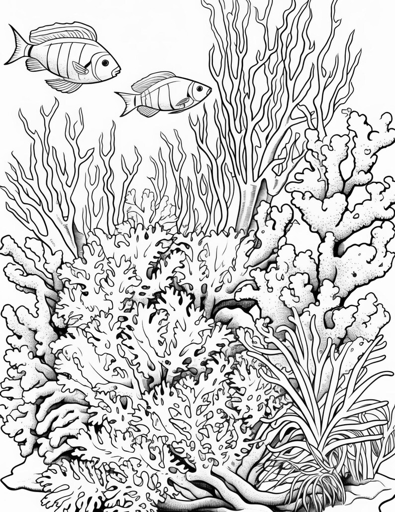 Coral Reef Coloring Book 25 Printable Pages Ocean Life Coloring Pages ...