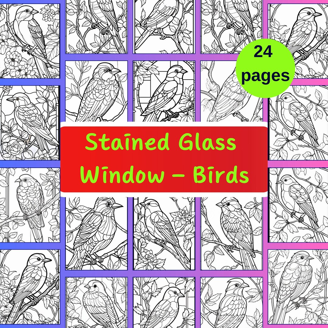 The Stained Glass Window Birds Coloring Book, Volume 1:enhance Your ...