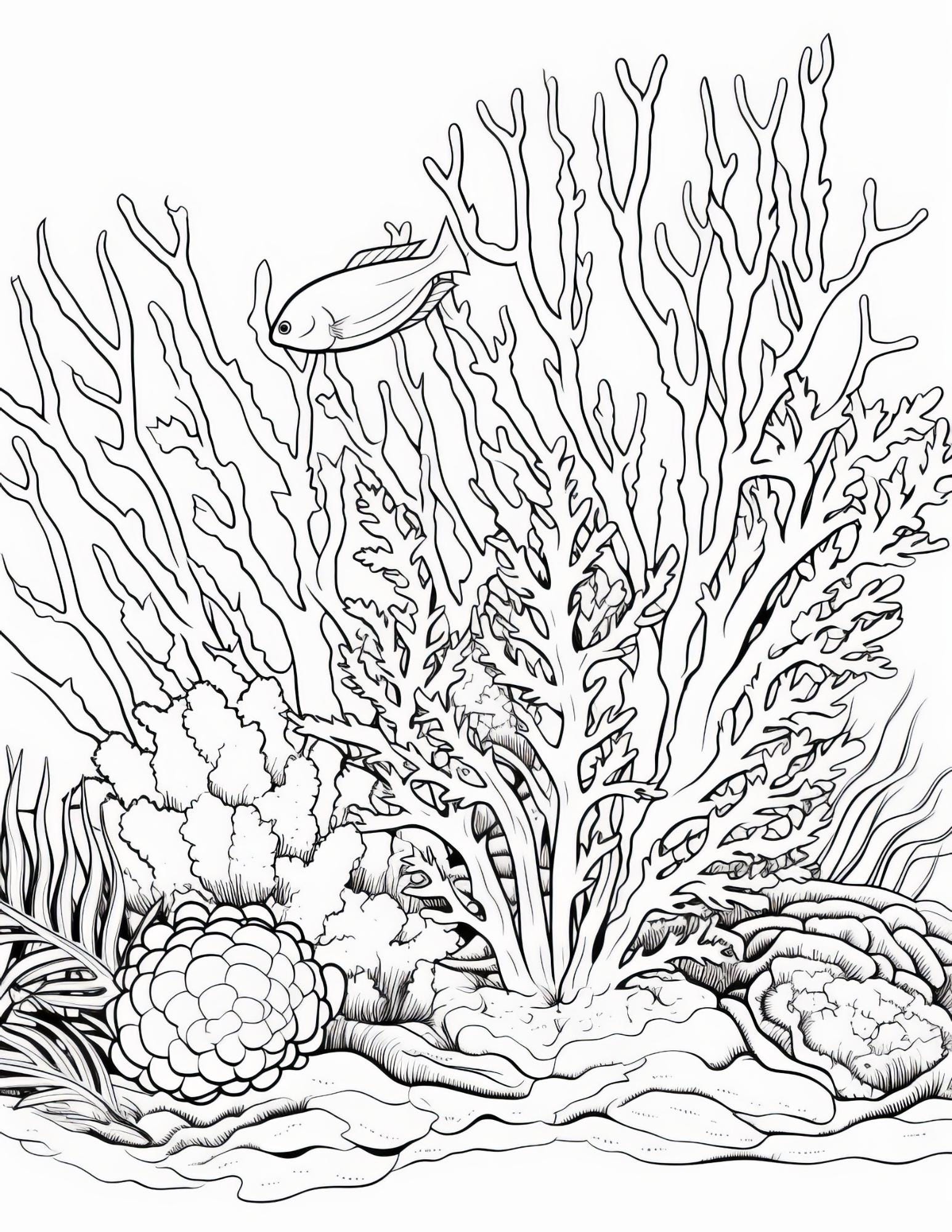 Coral Reef Coloring Book 25 Printable Pages Ocean Life Coloring Pages ...