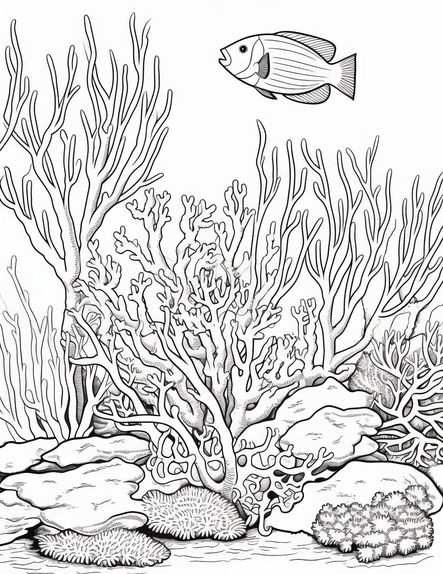 Coral Reef Coloring Book 25 Printable Pages Ocean Life Coloring Pages ...