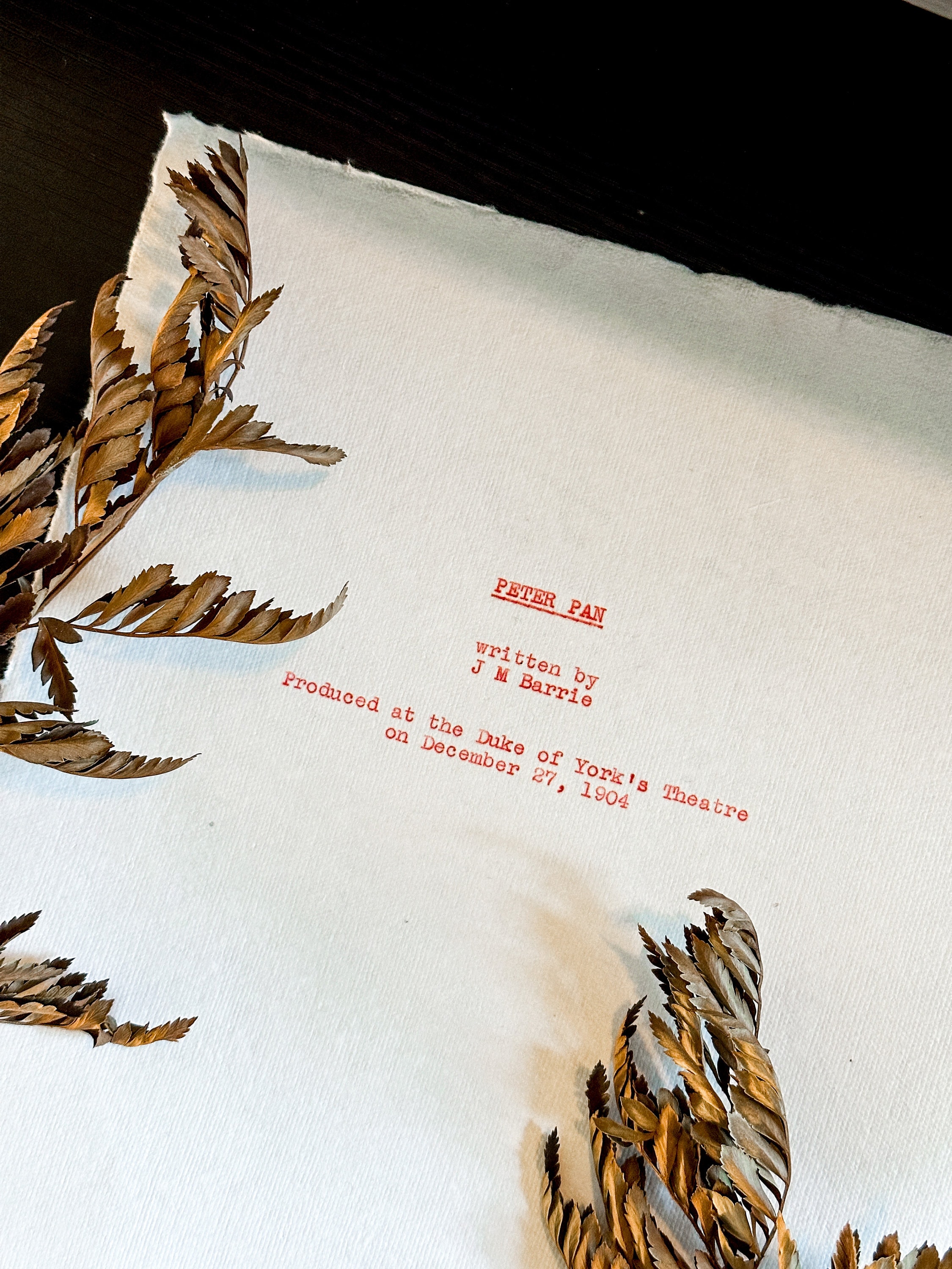 Custom Screenplay Title Page Hand Typed on Cotton Paper and Framed ...