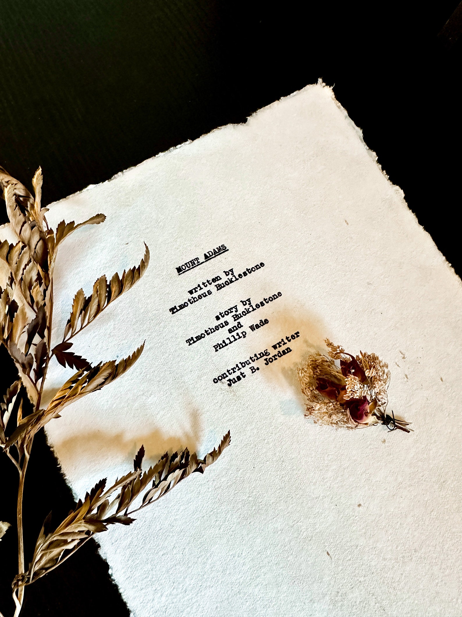 Custom Screenplay Title Page Hand Typed on Cotton Paper and ...