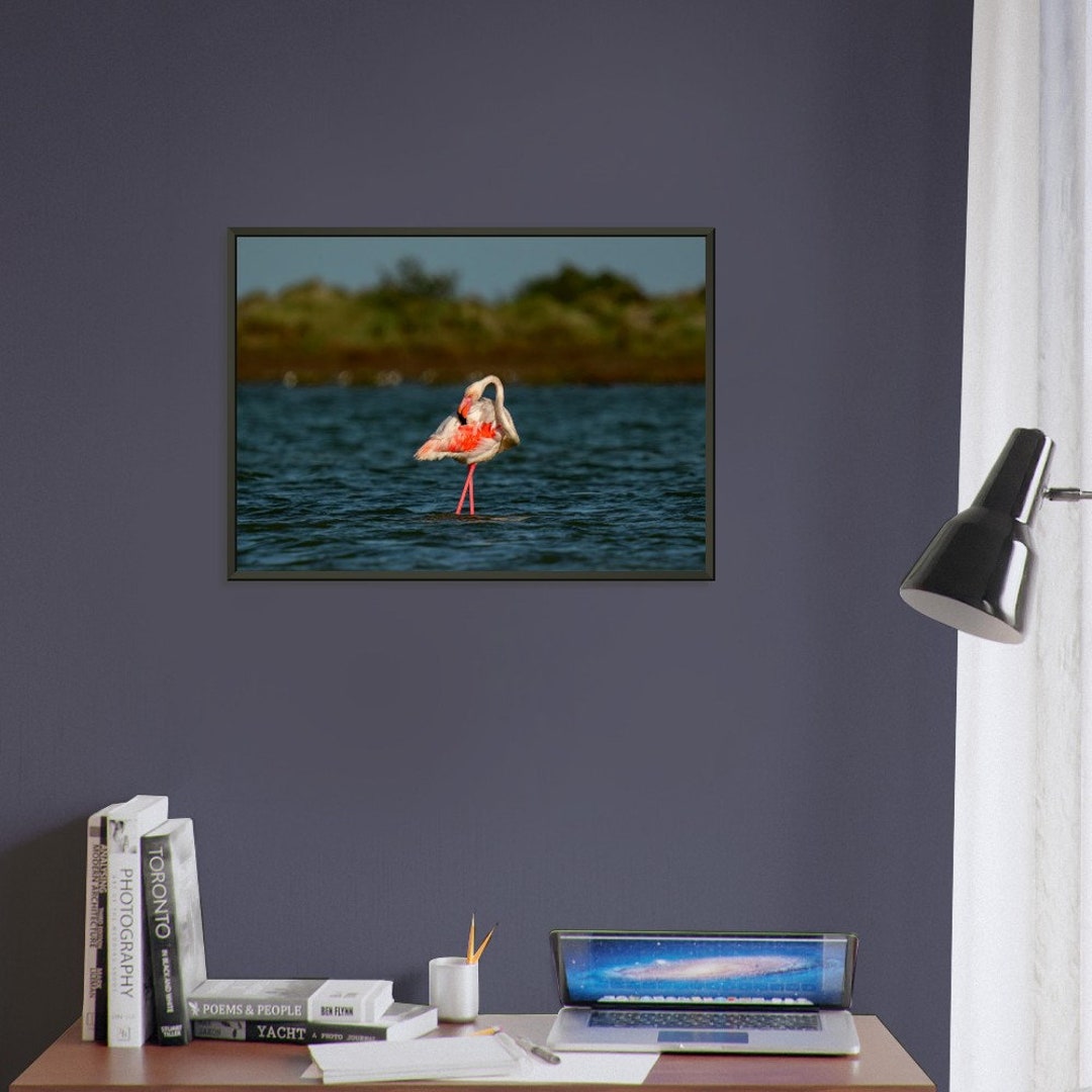 Premium Matte Print With Metal Frame - Etsy