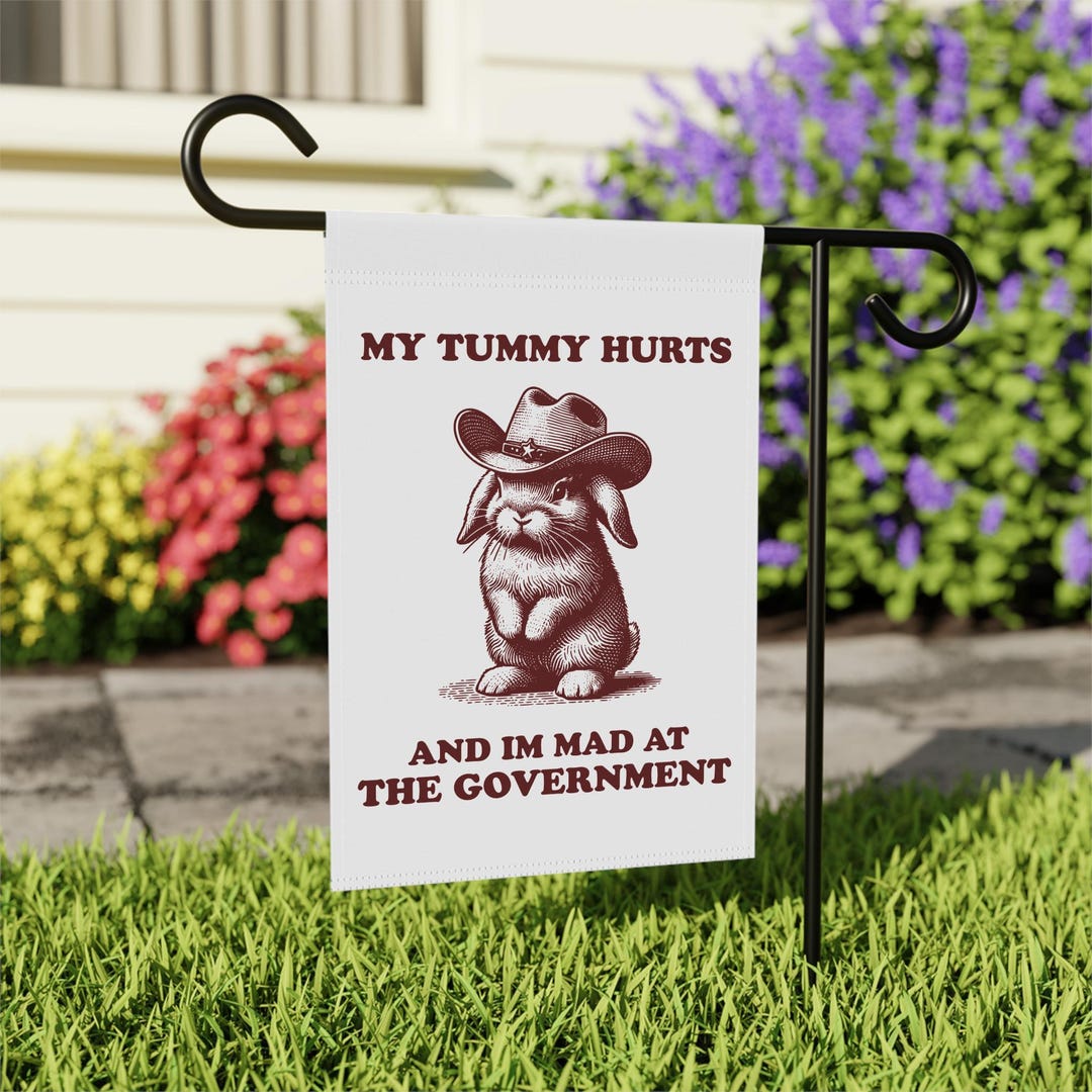 My Tummy Hurts and I'm Mad at the Government Flag Funny Anti Fascist ...
