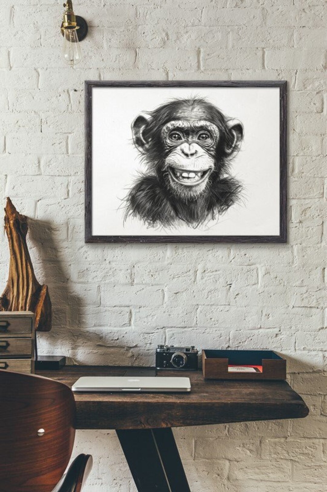 Adorable Monkey With a Million Dollar Smile. Monkey Art, Cartoon Monkey ...