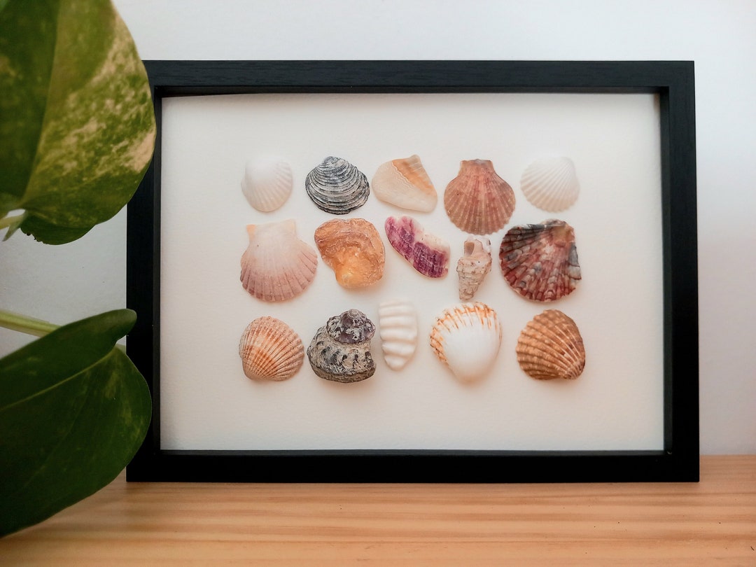 Shell and Conch Painting, Shell Art, Unique Beach House Poster ...