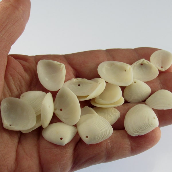 Seashell Jewelry - Etsy