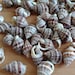 Drilled Pear Shaped Seashells, Set of 10 Pyrula Shells With Holes, 1 to ...