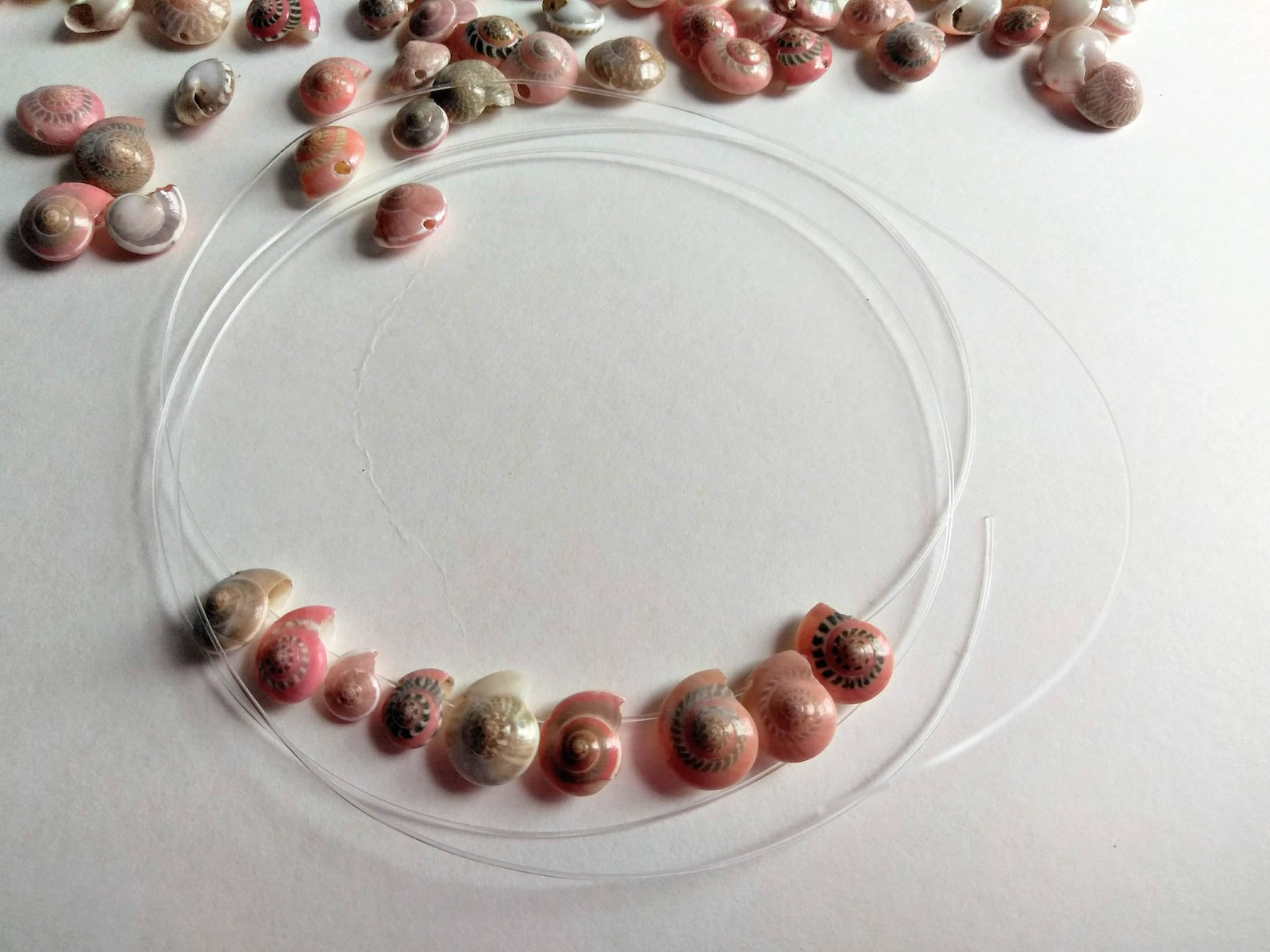 Tiny Pink Drilled Snail Shells, Set of 25 Assorted Pink Umbonium ...