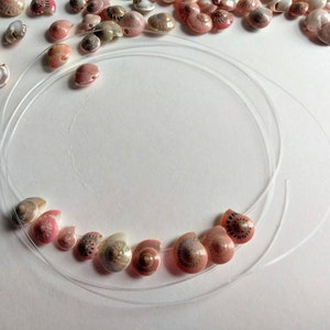 Tiny Pink Drilled Snail Shells, Set of 25 Assorted Pink Umbonium ...