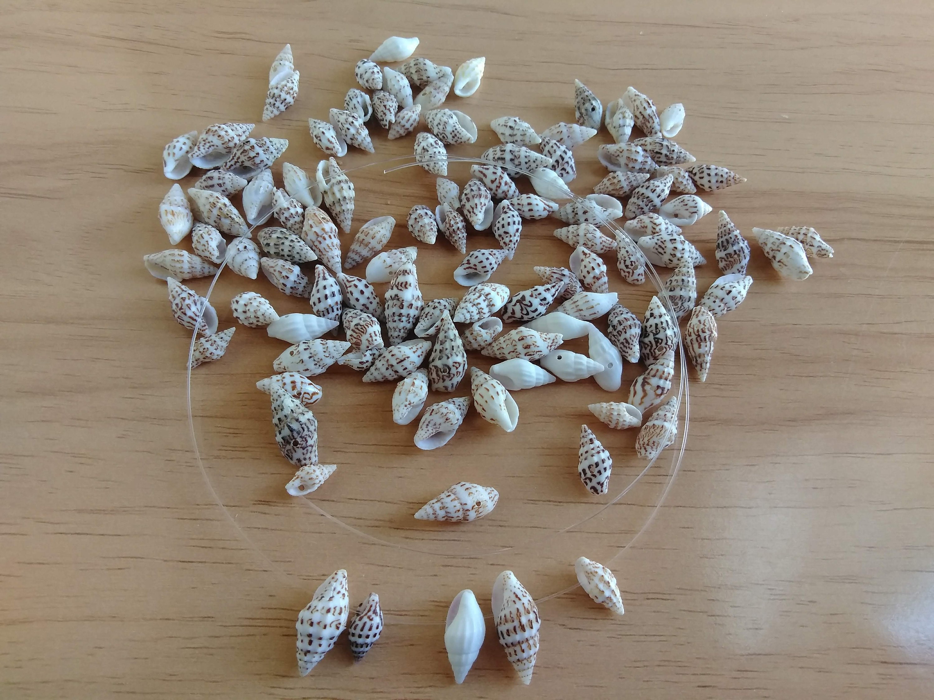 Tiny Drilled Seashells for Jewelry Making Assorted Set of 25 - Etsy