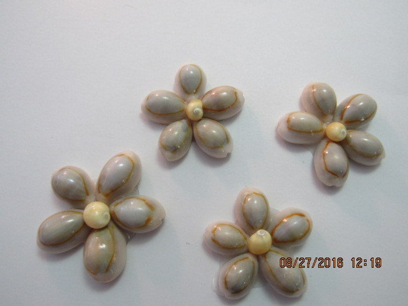 Shell Flowers, Set of 4 Handmade Cowry Seashell Flowers, Glue to ...