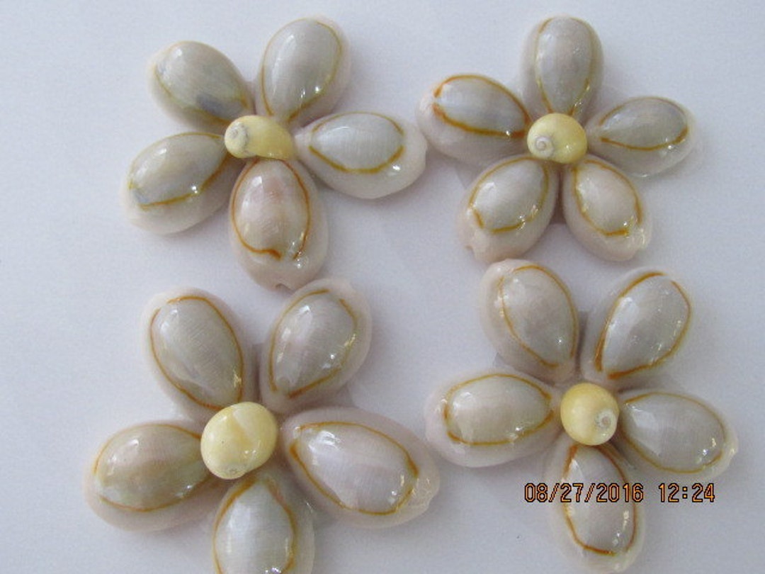 Shell Flowers, Set of 4 Handmade Cowry Seashell Flowers, Glue to ...