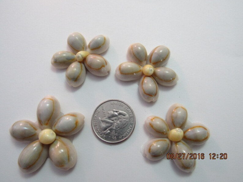 Shell Flowers Set of 4 Handmade Cowry Seashell Flowers Glue - Etsy