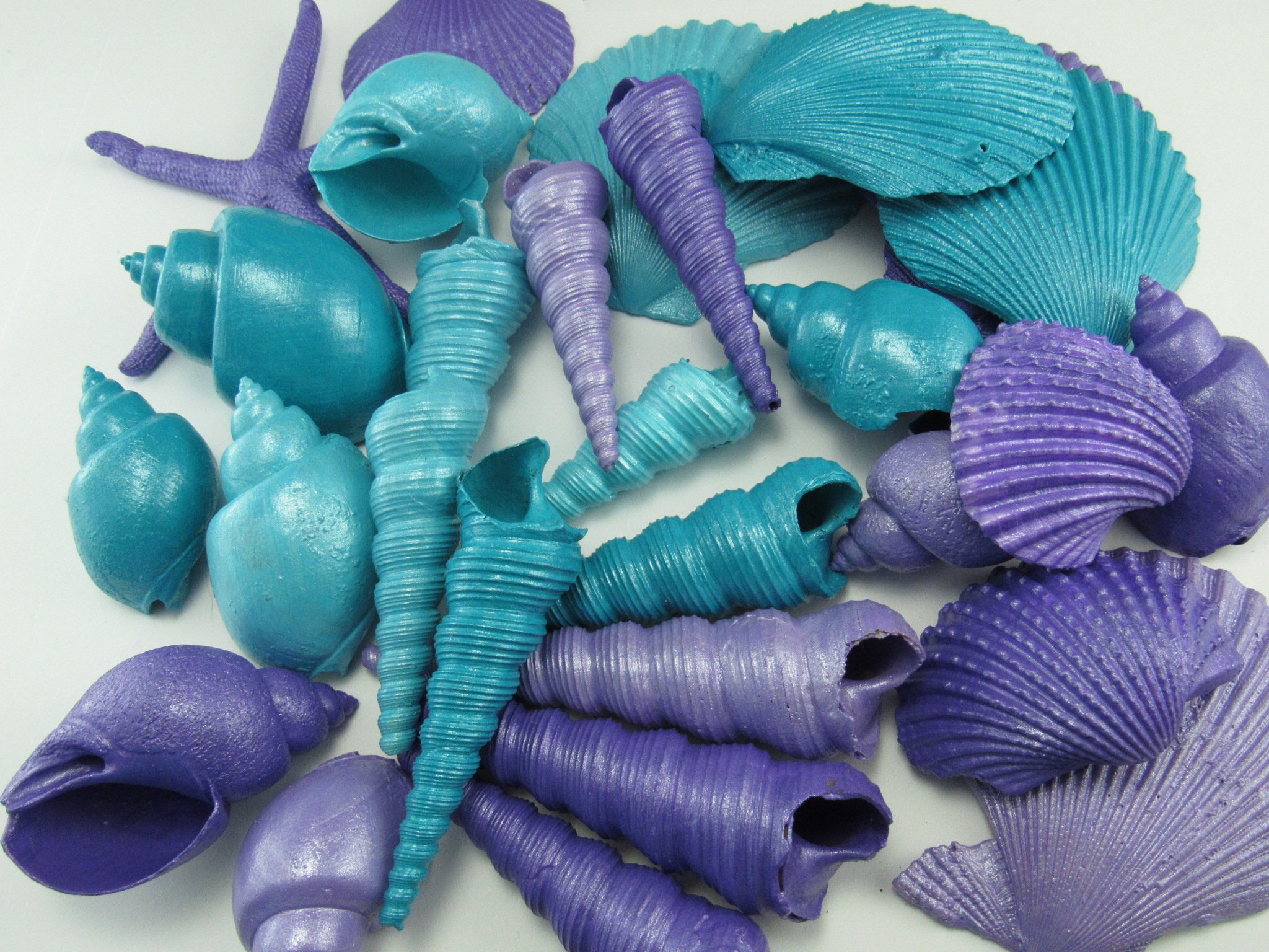 Mermaid Party Decorations Real Seashells Painted in Mermaid - Etsy