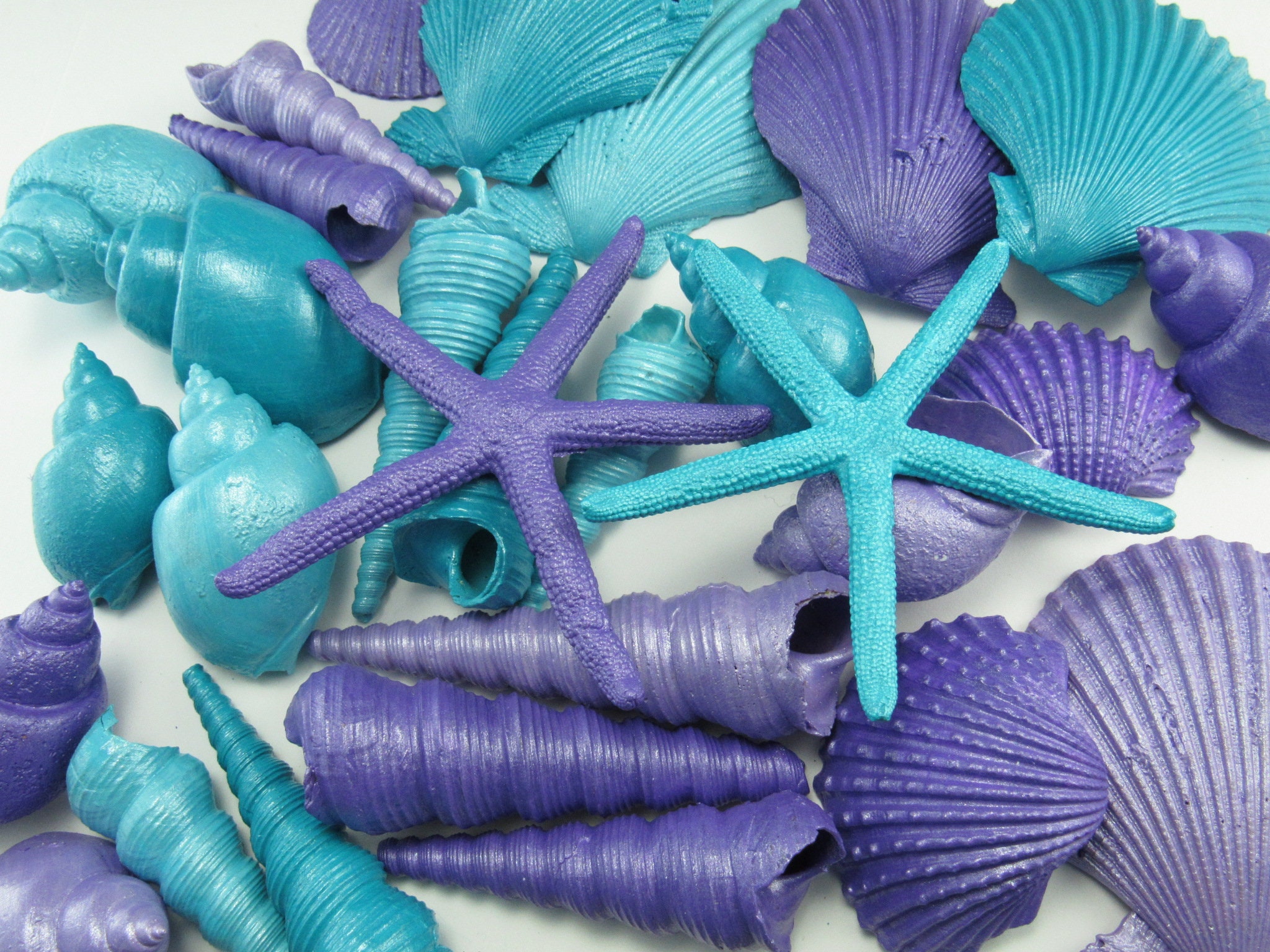 Mermaid Party Decorations Real Seashells Painted in Mermaid - Etsy