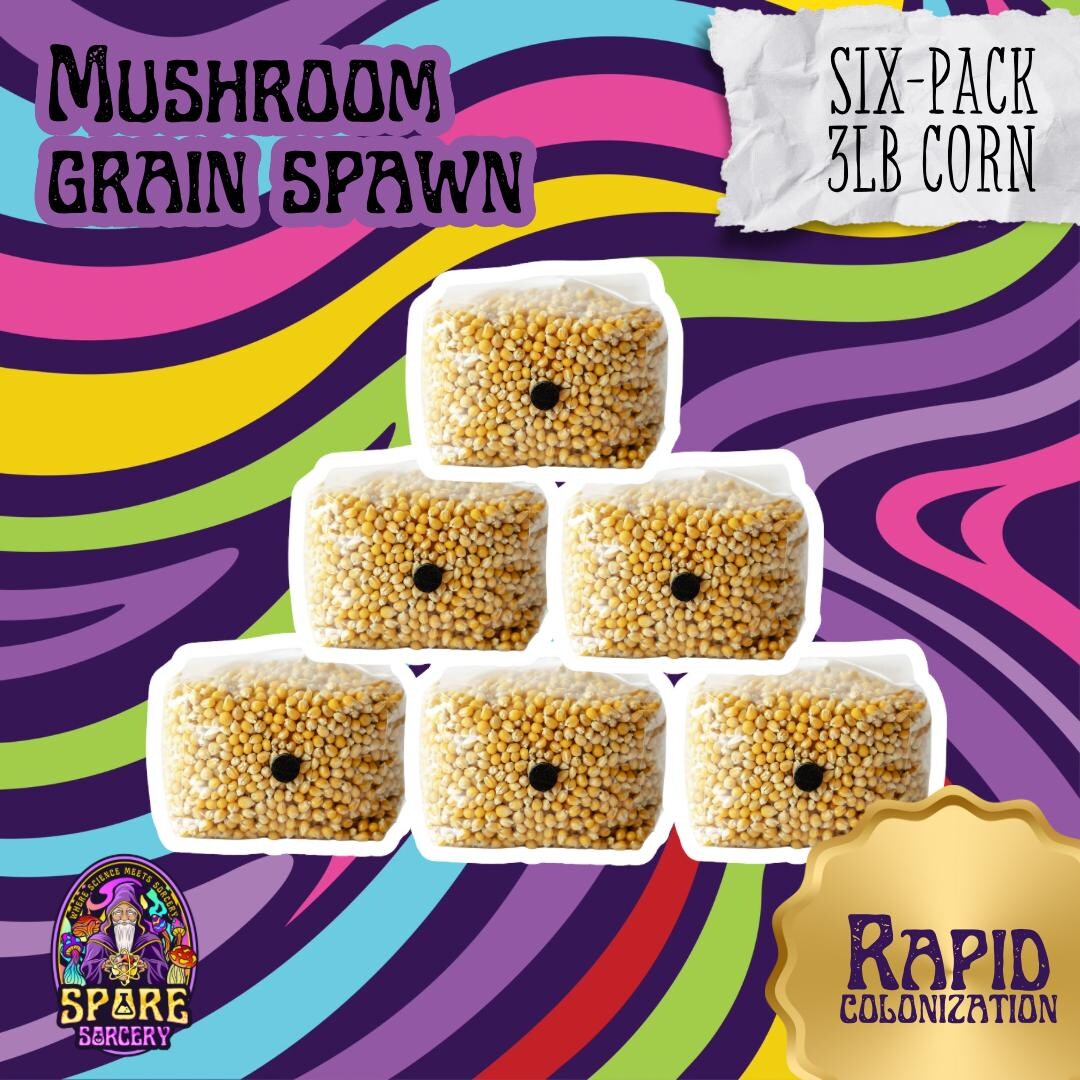 6 Pack | 3lb Drippy Corn Grain Spawn | Sterilized Corn Mushroom Bags ...