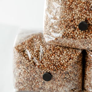 3 Pack | 3 Lb Milo Sorghum Grain Spawn | Sterile Grain for Mushrooms ...