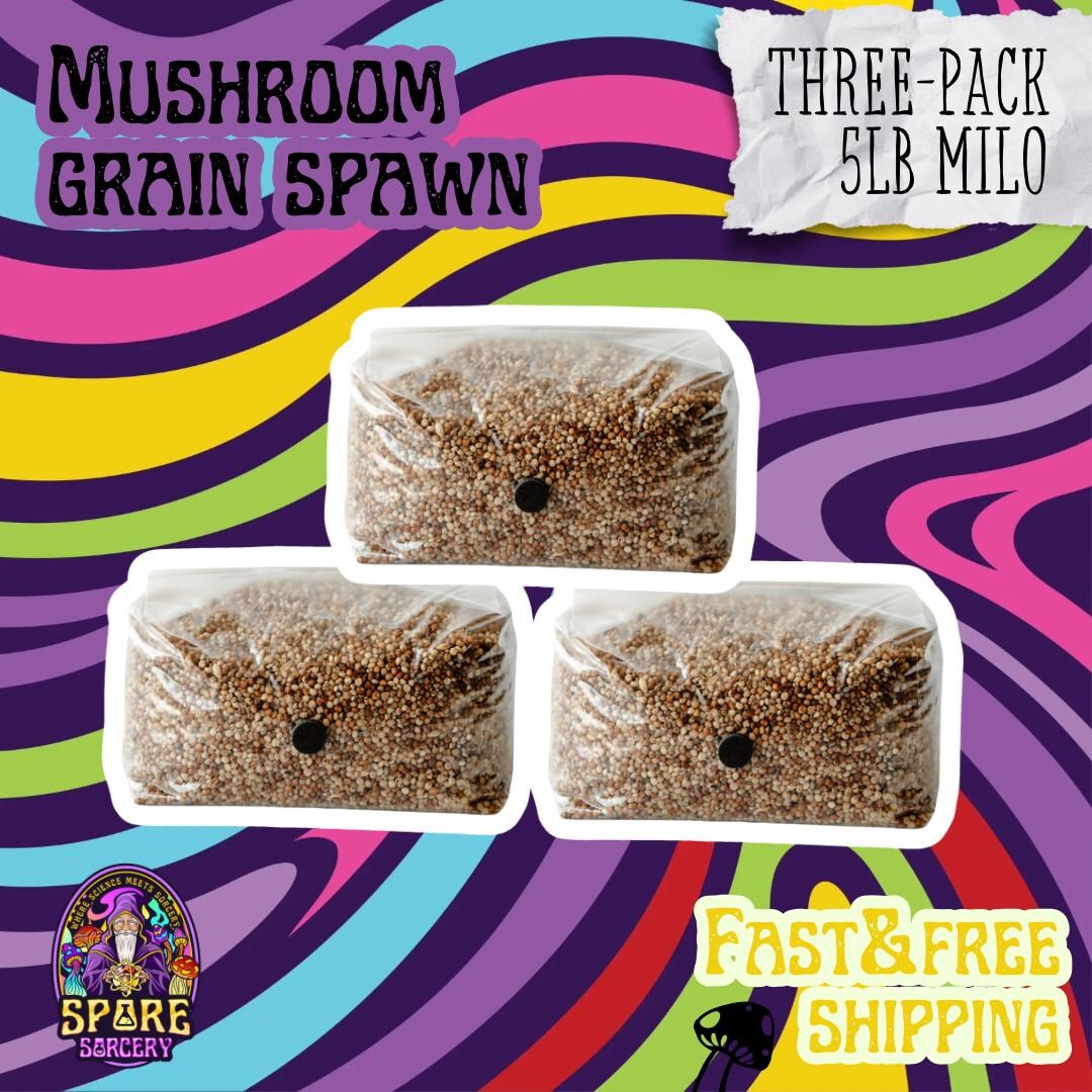 3 Pack 5lb Milo Sorghum Grain Spawn Sterile Grain for Mushrooms ...