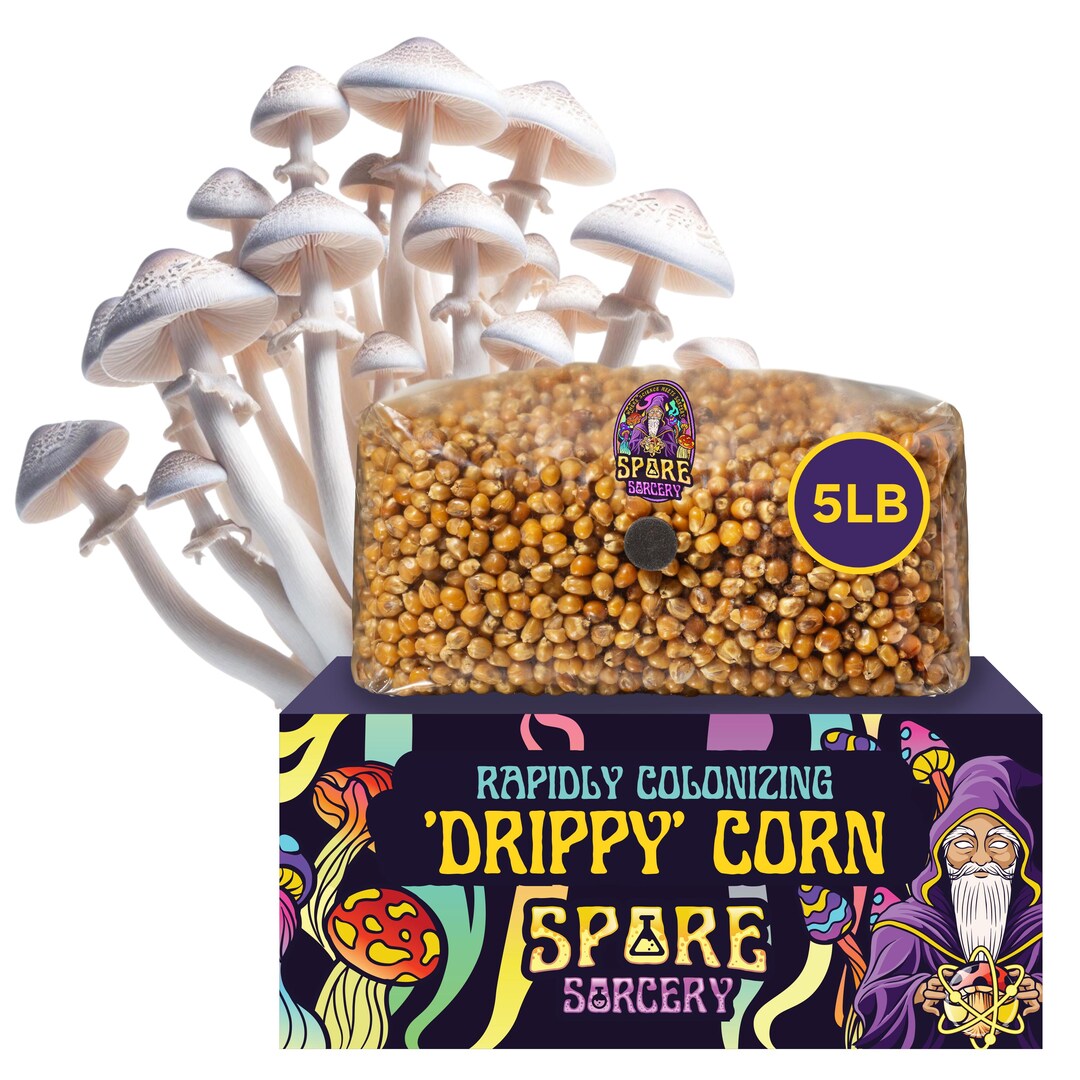 5lb Drippy Corn Grain Spawn | Sterilized Corn Mushroom Bag | Sterilized ...