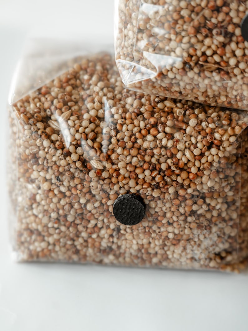 3 Pack | 3 X 3lb Milo Sorghum | Sterile Grain for Mushrooms | Mushroom ...