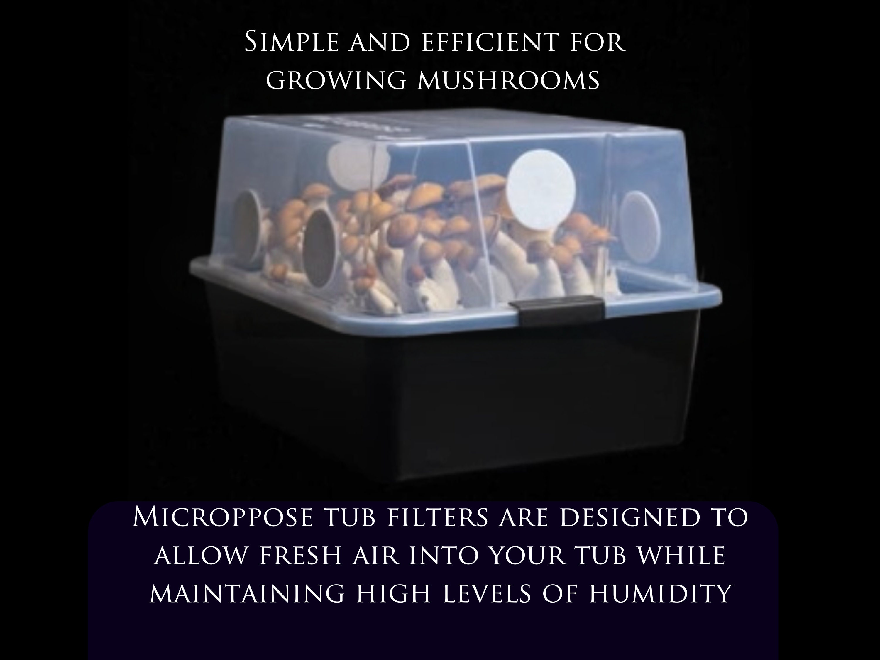 Microppose MEDIUM Mushroom Monotub Fruiting Chamber With Filter Disks and Liner Mushroom ...