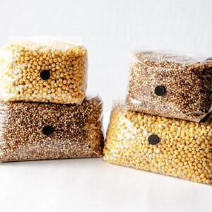 3 Pack | 5lb Milo Sorghum Grain Spawn| Sterilized Grain for Mushrooms ...