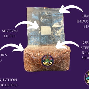 3 Pack | 3 Lb Milo Sorghum Grain Spawn | Sterile Grain for Mushrooms ...