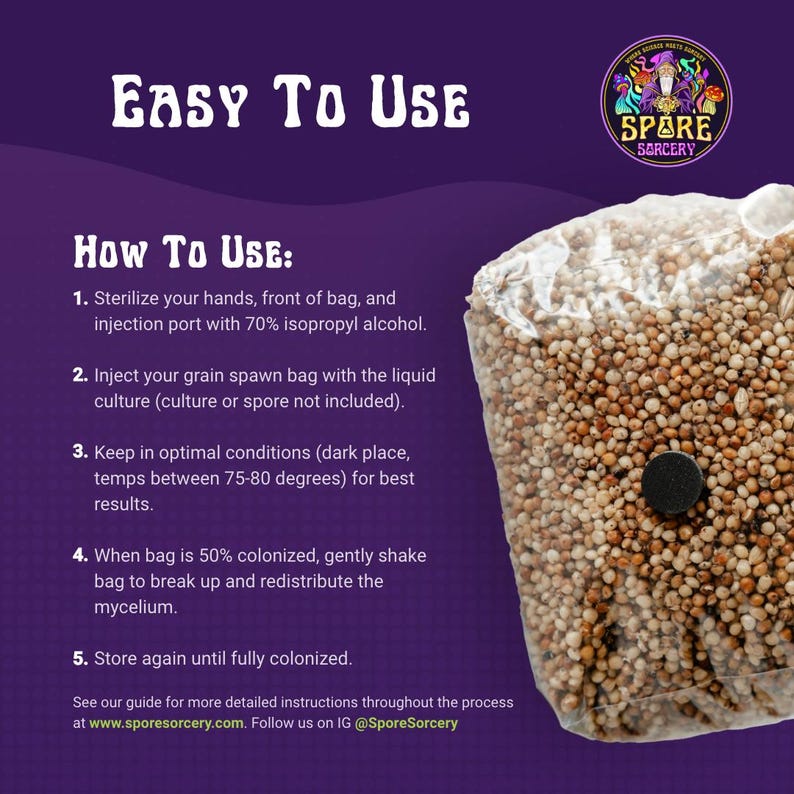 3 Pack | 3 X 3lb Milo Sorghum | Sterile Grain for Mushrooms | Mushroom ...