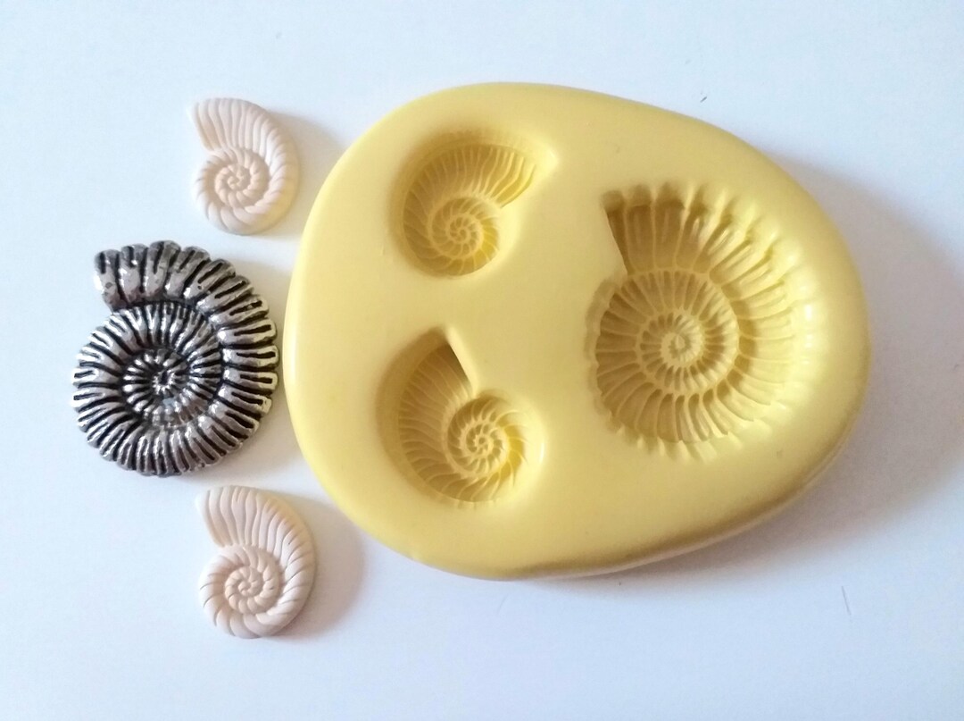 AMMONITE Mould 19/30 Mm Fossil Shell Food Safe Polymer Clay Cake ...