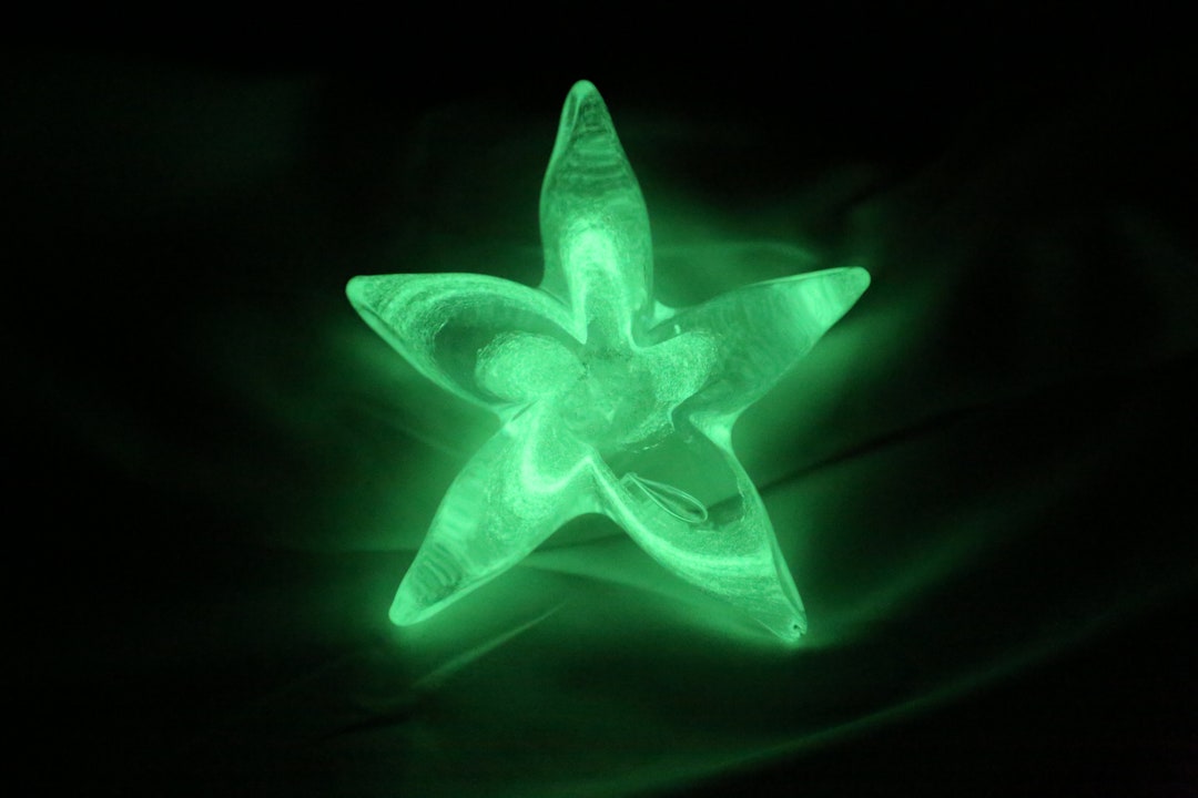 Glow in the Dark Starfish - Etsy