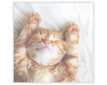 Sleeping Cat Sticker - Etsy