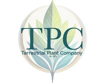 Fallopia Multiflora Variegated; Reynoutria Multiflora - High ...