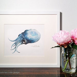 Cuttlefish Art Print, 5X7 Cuttlefish Watercolor Art Print, Cuttlefish ...