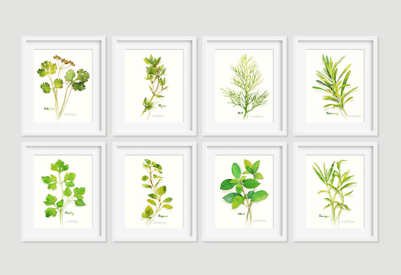 Mint Print 8X10 Herb Watercolor Print Kitchen Art Herb - Etsy