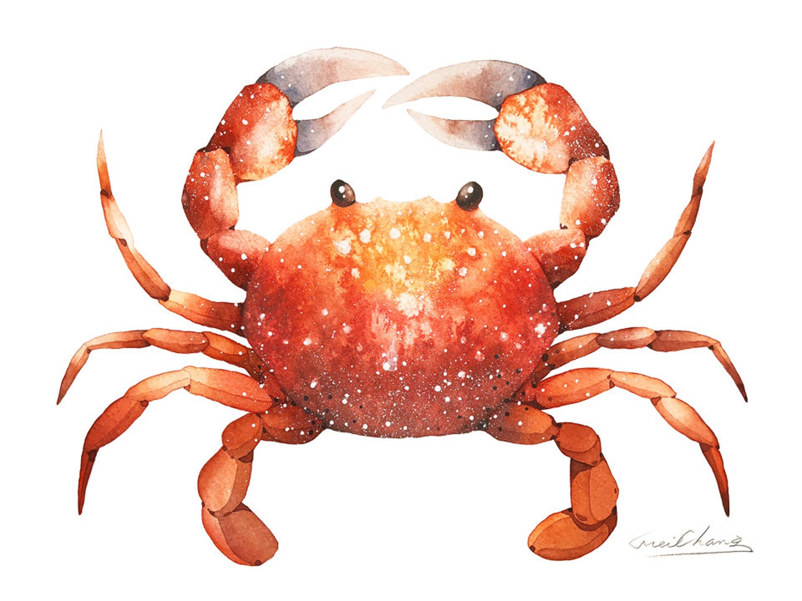 Crab Art Print, 5X7 Crab Watercolor Art Print, Crab Painting, Crab ...