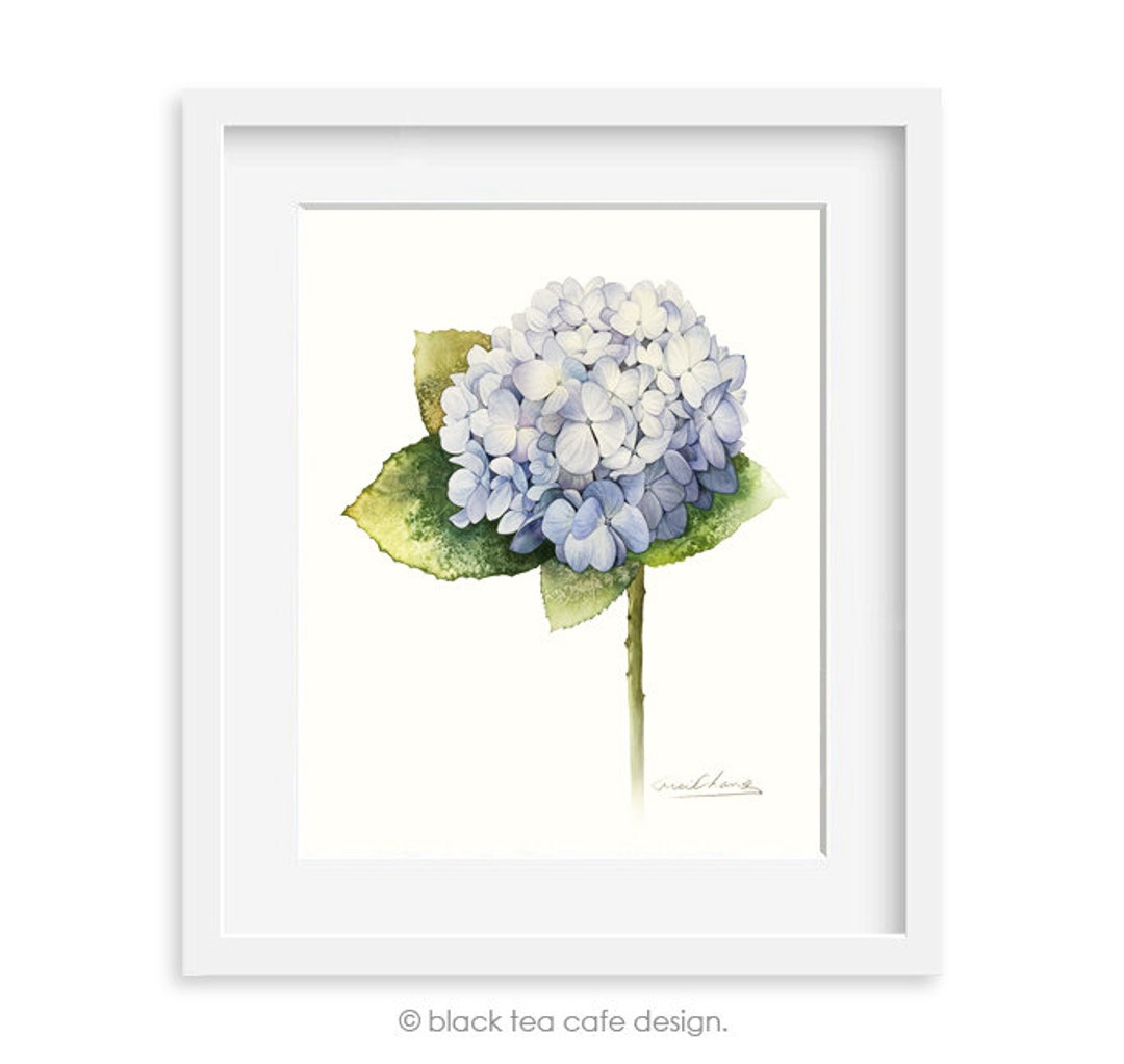 Hydrangea Flower 8 by 10 Print - Archival Print, 8X10 Hydrangea Flower ...