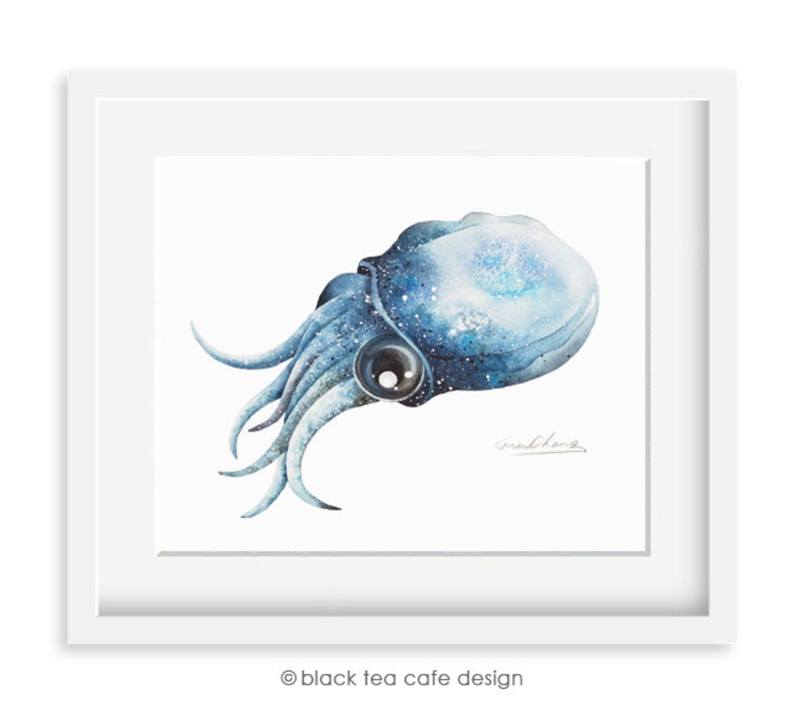 Cuttlefish Art Print 5X7 Cuttlefish Watercolor Art Print - Etsy