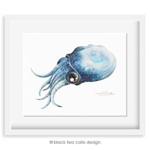 Cuttlefish Art Print, 5X7 Cuttlefish Watercolor Art Print, Cuttlefish ...