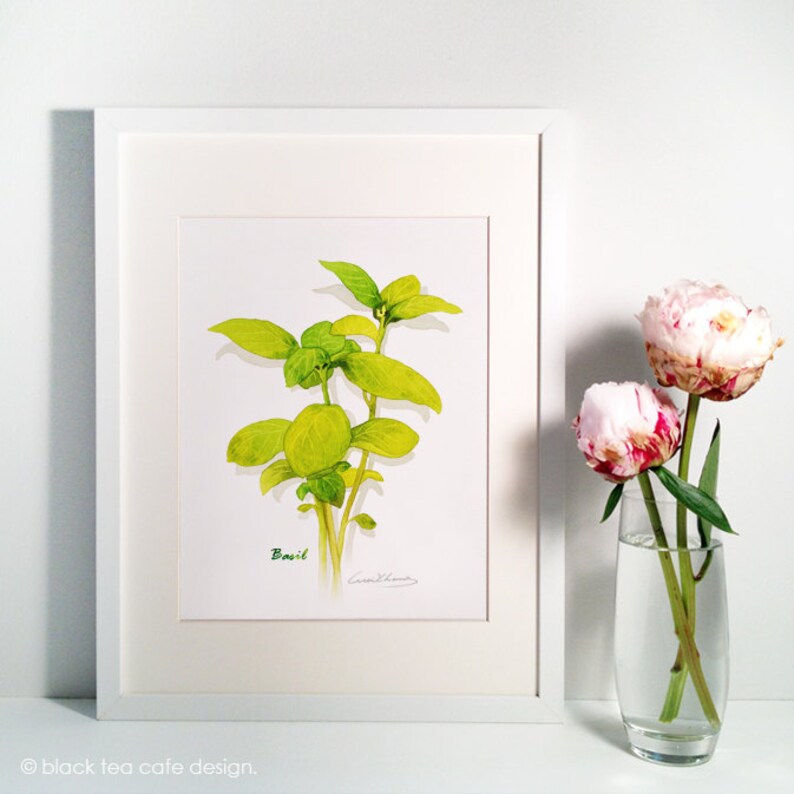 Basil Print, 5X7 Herb Watercolor Print, Kitchen Art, Herb Illustration ...