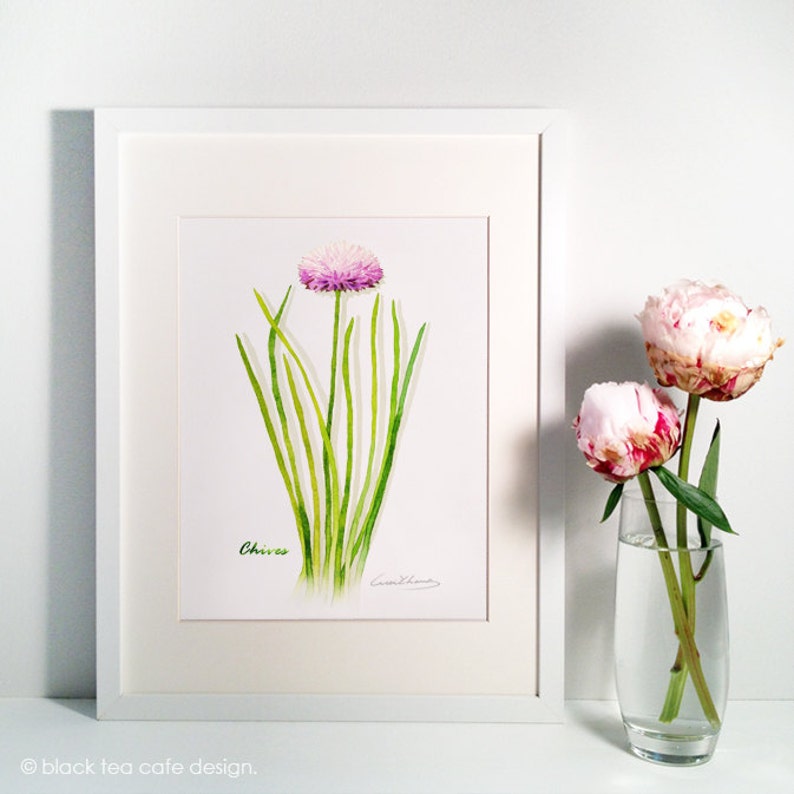 Chives Print, 5X7 Herb Watercolor Print, Kitchen Art, Herb Illustration ...