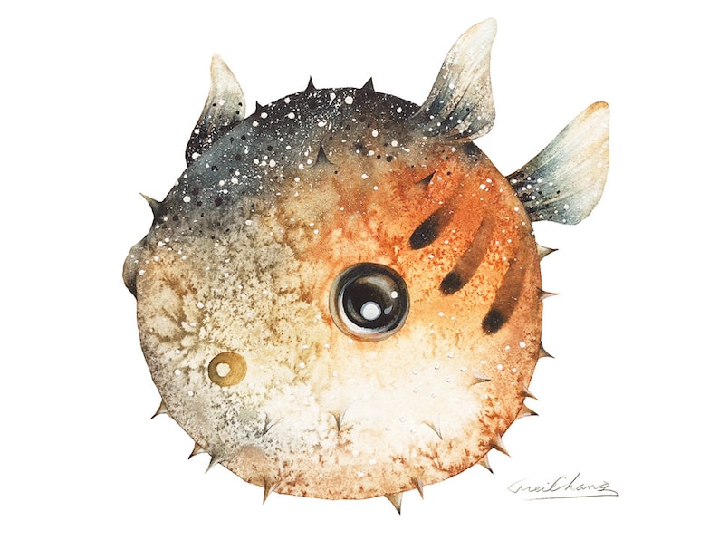 Pufferfish Art Print, 5X7 Puffer Fish Watercolor Art Print, Pufferfish ...