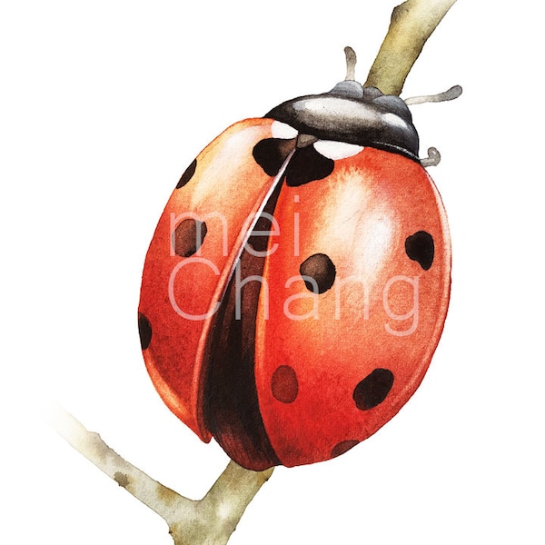 Ladybug Painting - Etsy