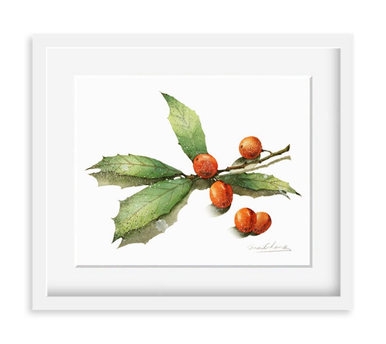 Watercolor Painting - Holly Painting - Watercolor Holly - 5 by 7 Print ...