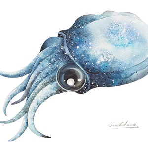 Cuttlefish Art Print, 5X7 Cuttlefish Watercolor Art Print, Cuttlefish ...