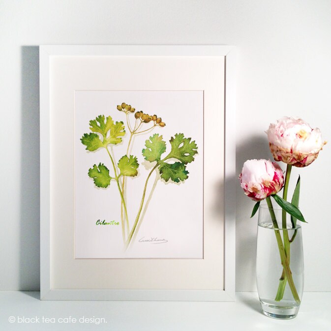 Cilantro Print, 8X10 Herb Watercolor Print, Kitchen Art, Herb ...