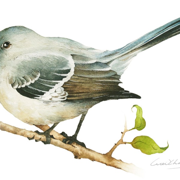 Mockingbird - Etsy