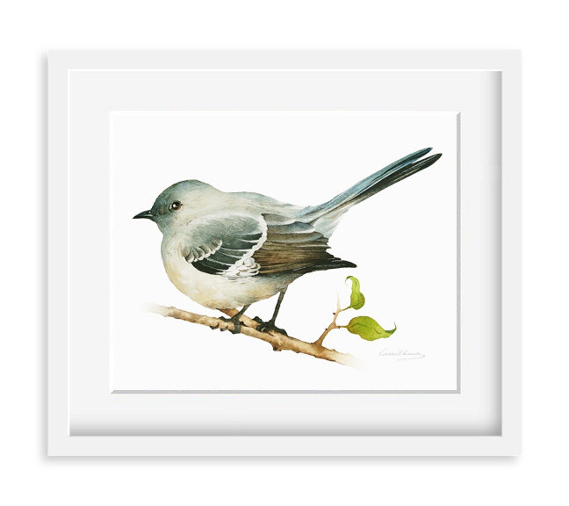 Mockingbird Painting - Watercolor Mockingbird - 5 by 7 Print ...